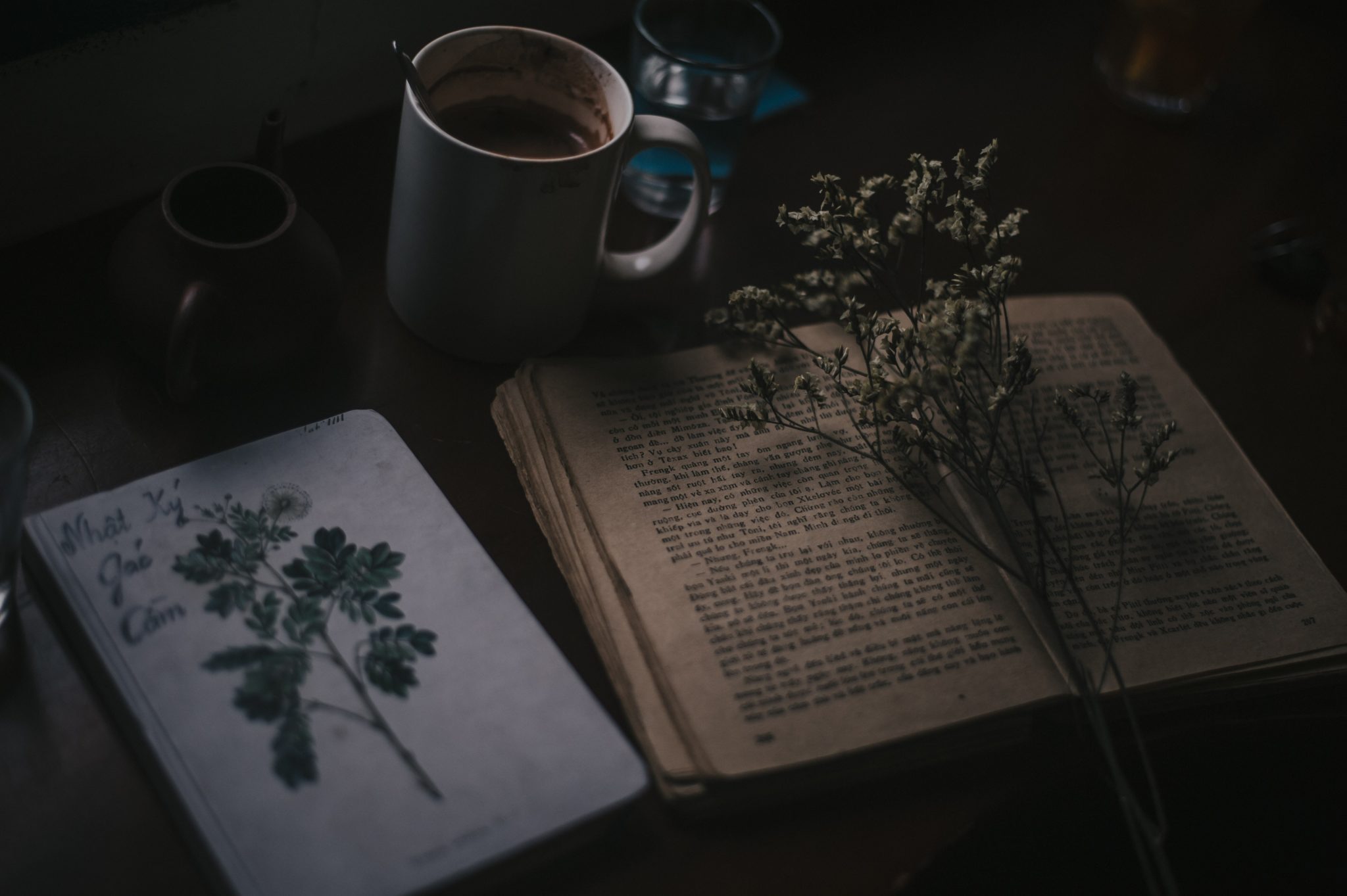 How To Achieve The Dark Academia Aesthetic - Life Is Poetry