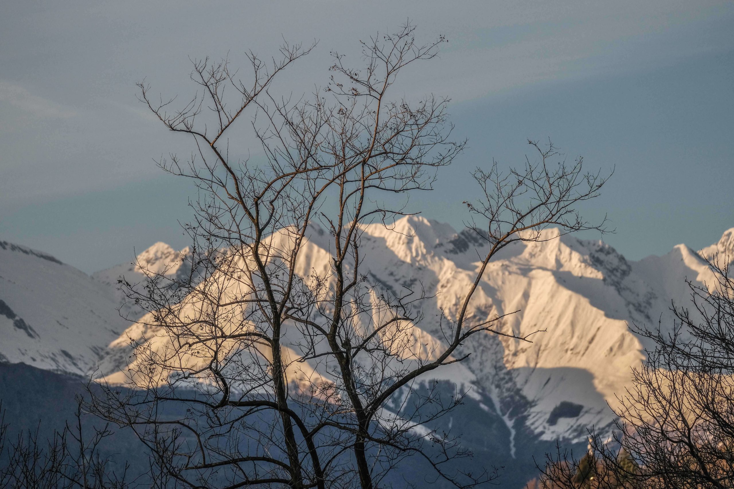 11 Poems to Welcome Winter - Life Is Poetry