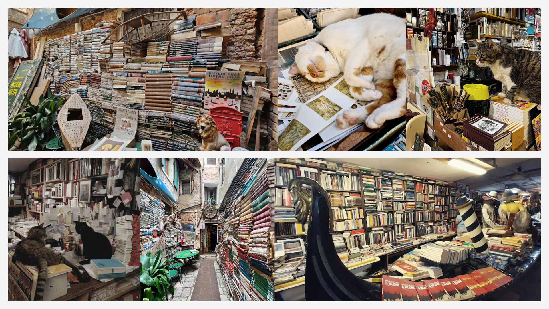 The 10 Most Visited Bookstores Around the Globe - Life Is Poetry