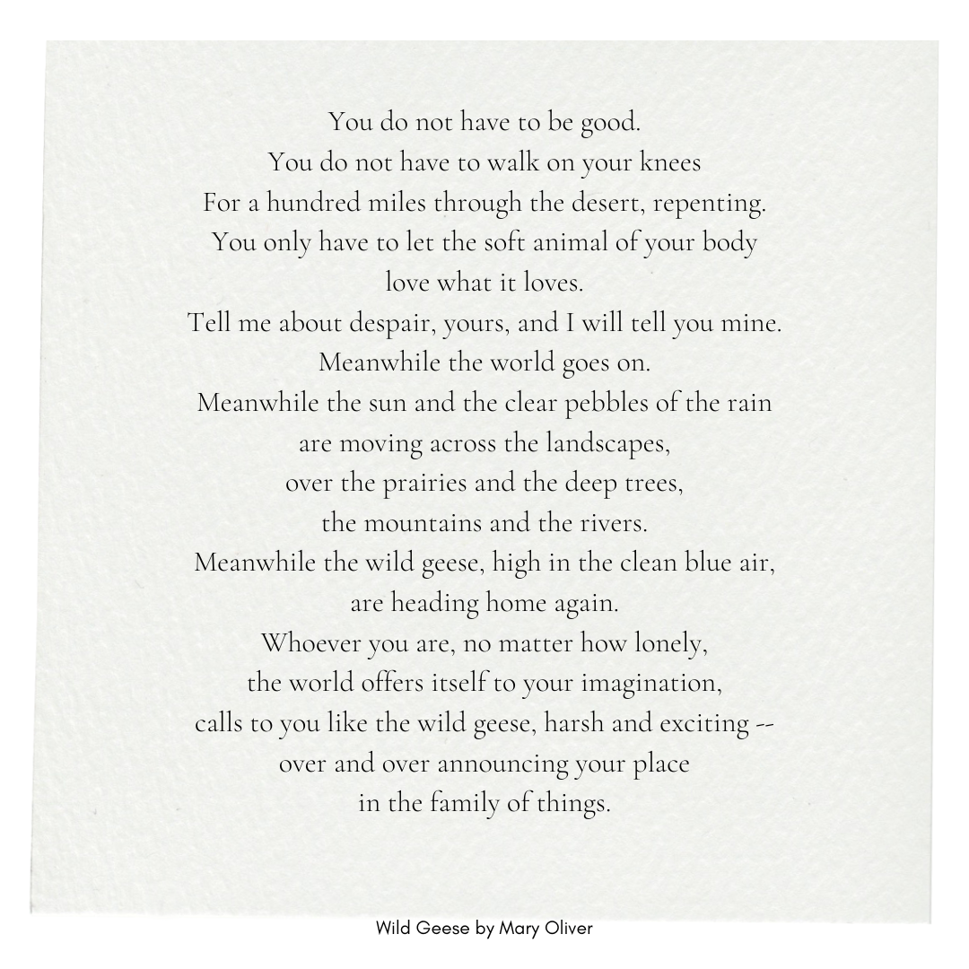 Poems to Heal a Broken Heart: When Words Hold You Through the Hurt ...